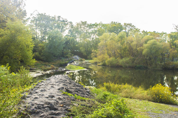 Winfield Mutual Housing Corp., Winfield Park, NJ 07036
